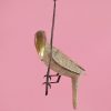 Toucan on a Swing | Circa Who