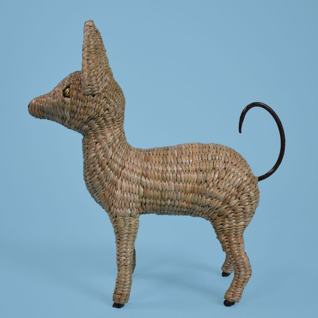 Chihuahua by Mario Lopez Torres | Circa Who
