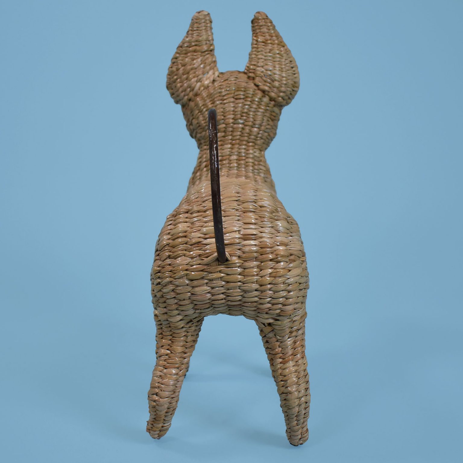 Chihuahua by Mario Lopez Torres | Circa Who