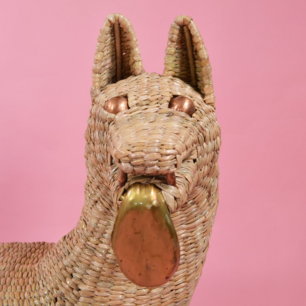 Coyote Figure by Mario Lopez Torres | Circa Who