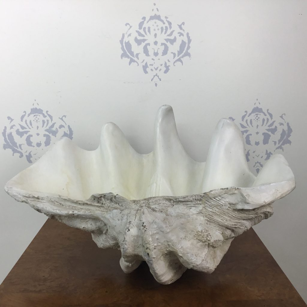 Faux Clam Shell | Circa Who