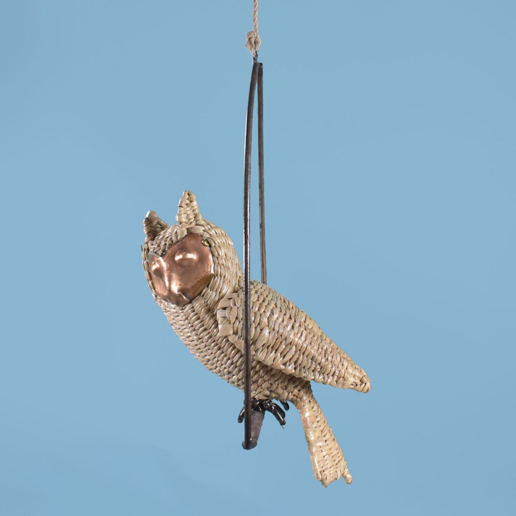 Large Owl on a Swing By Mario Lopez Torres | Circa Who