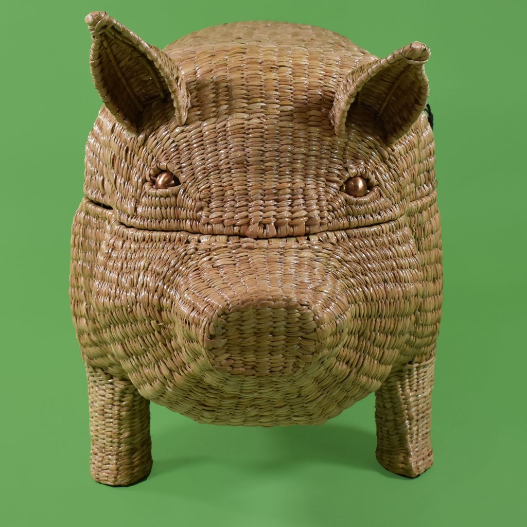 Large Pig Trunk Mario Lopez Torres | Circa Who