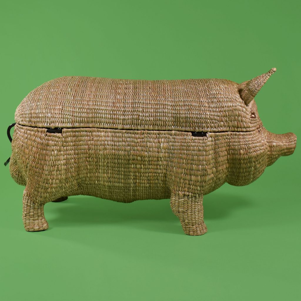 Large Pig Trunk Mario Lopez Torres | Circa Who