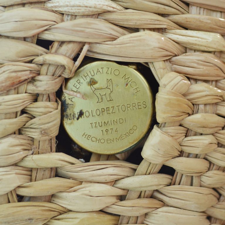 Longhorn Bull by Mario Lopez Torres | Circa Who