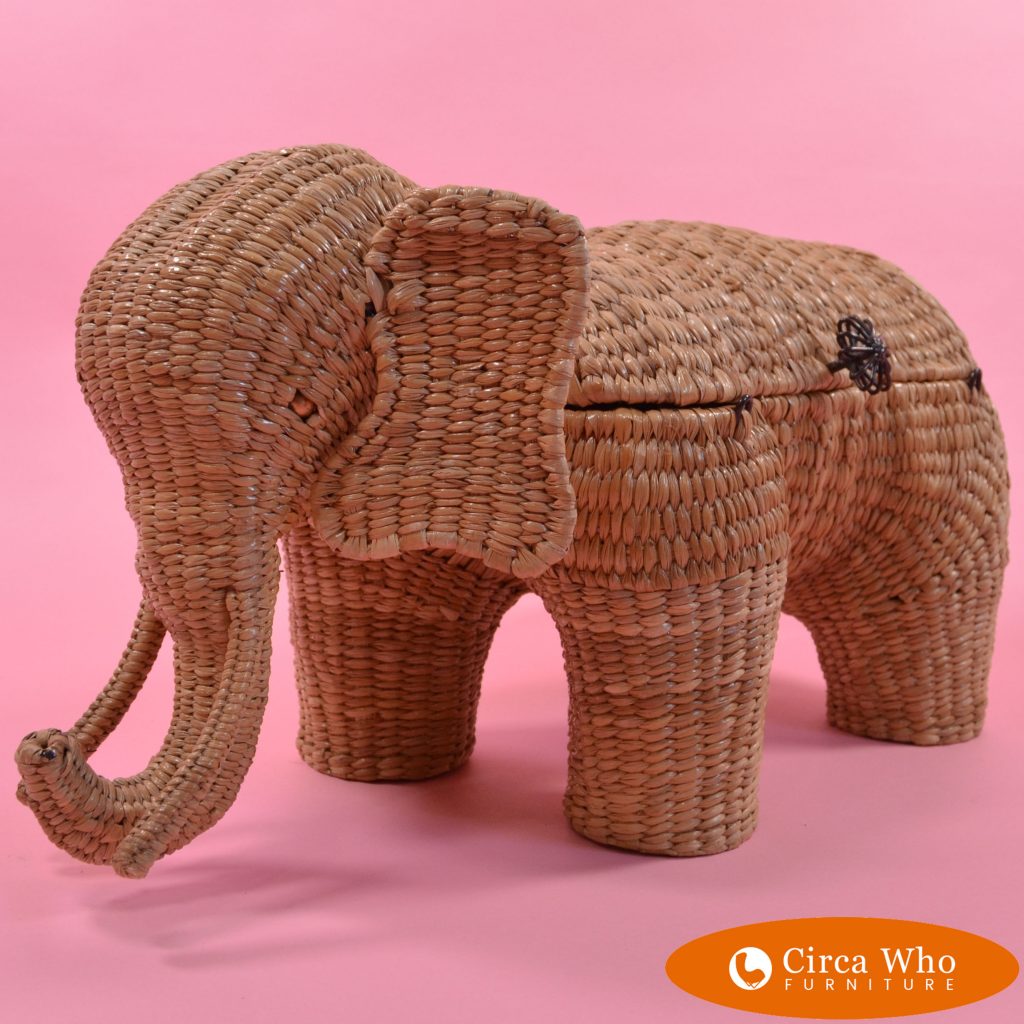 Mario Lopez Torres Elephant Trunk (Med) | Circa Who