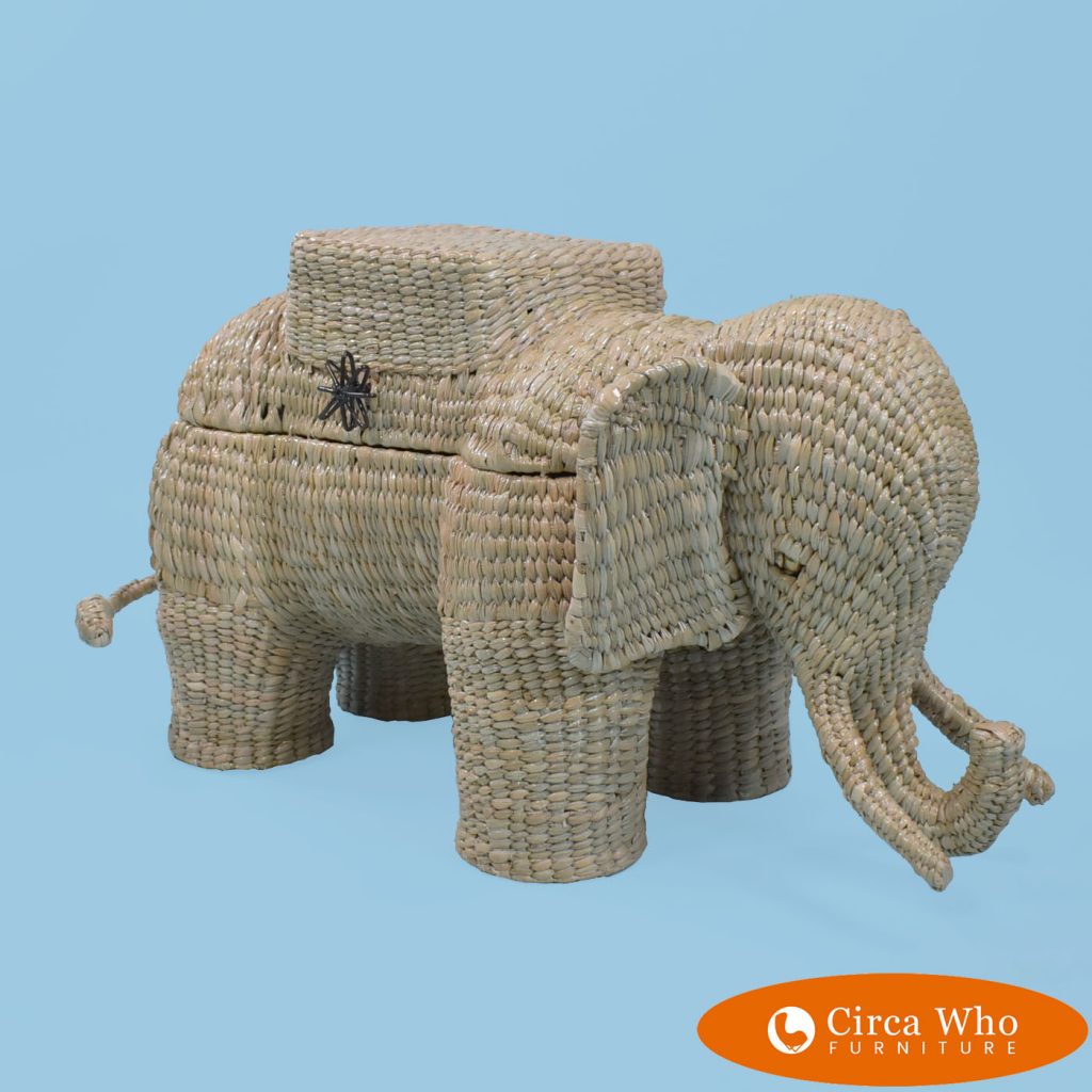 Large Pig Trunk Mario Lopez Torres | Circa Who