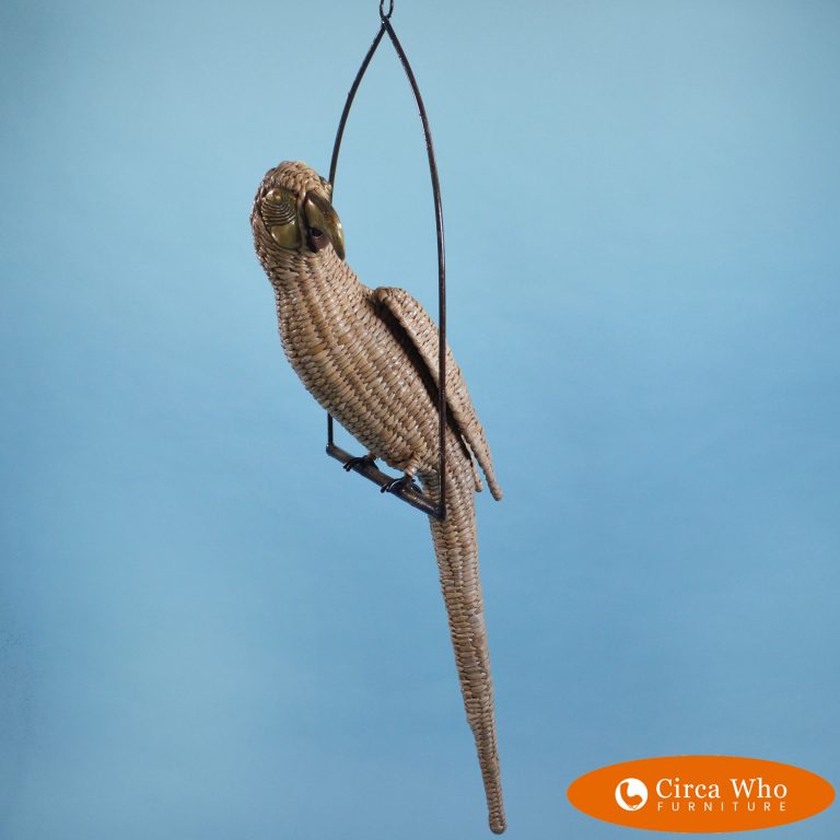 Parrot on a Swing | Circa Who