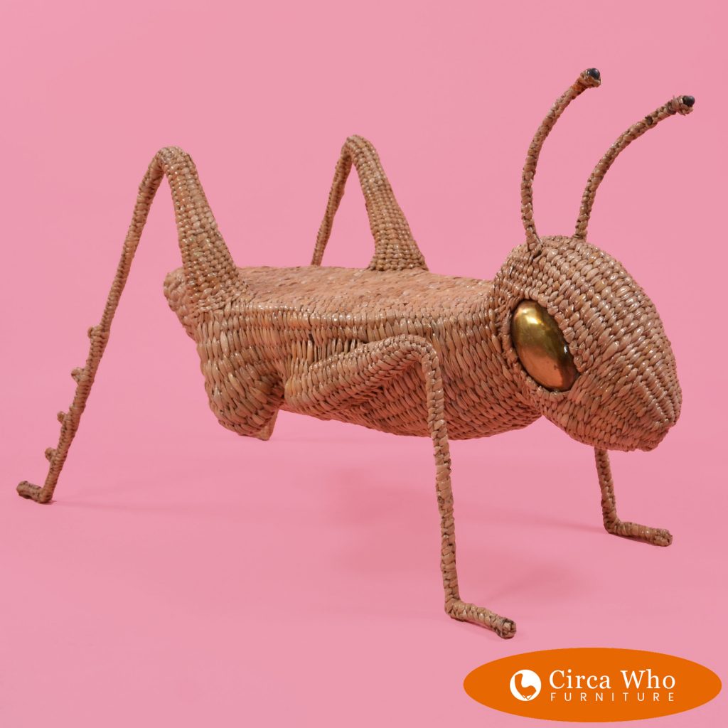 Small Cricket by Mario Lopez Torres | Circa Who