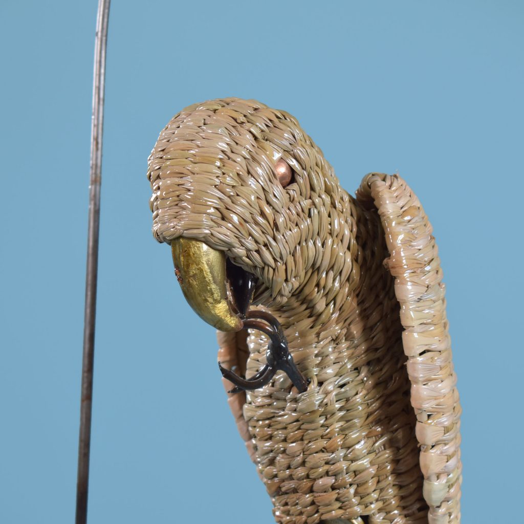 Small Macaw on a Swing by Mario Lopez Torres | Circa Who