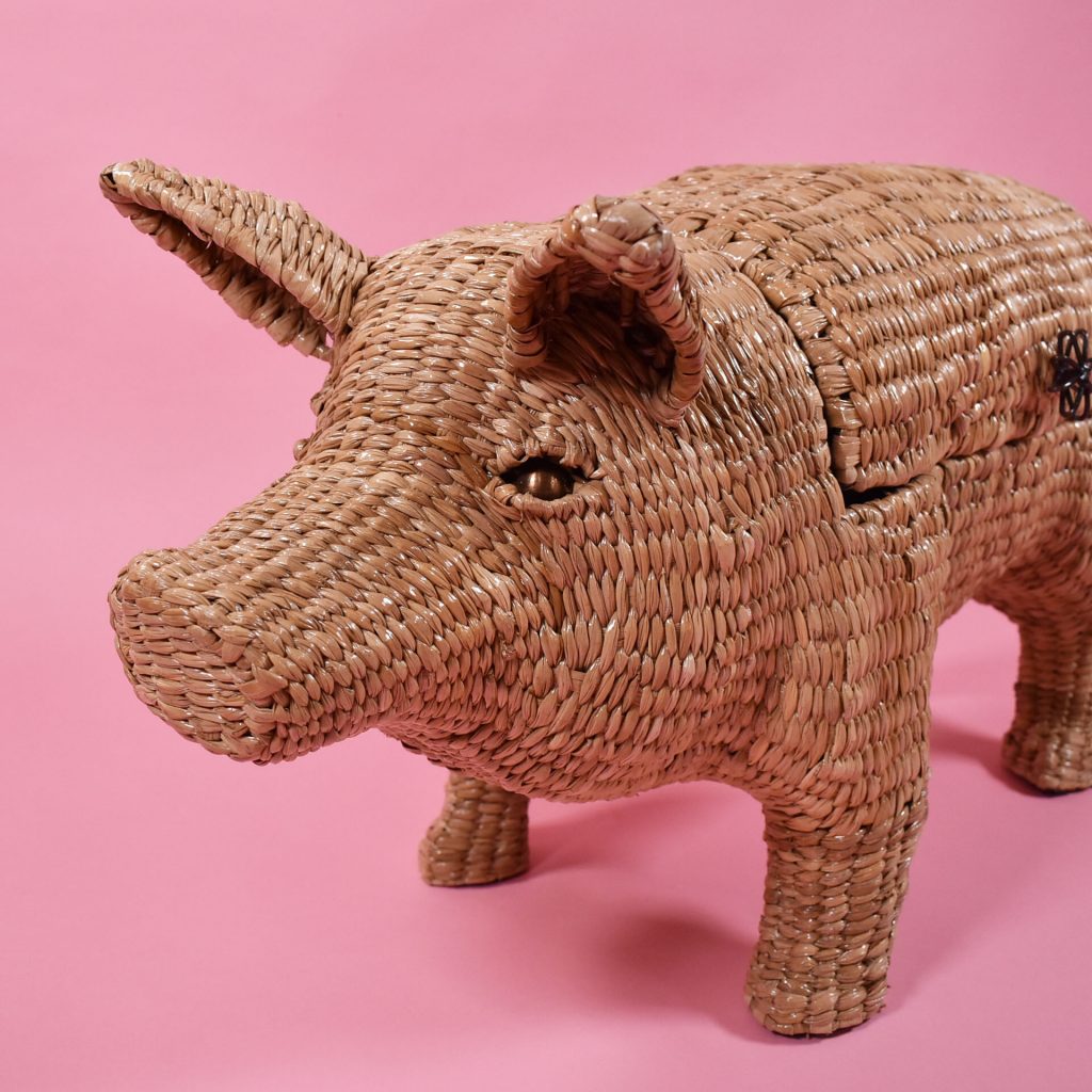 Medium Pig Trunk | Circa Who