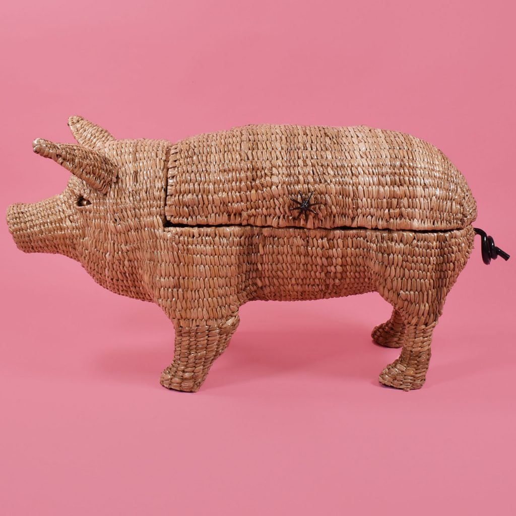 Medium Pig Trunk | Circa Who