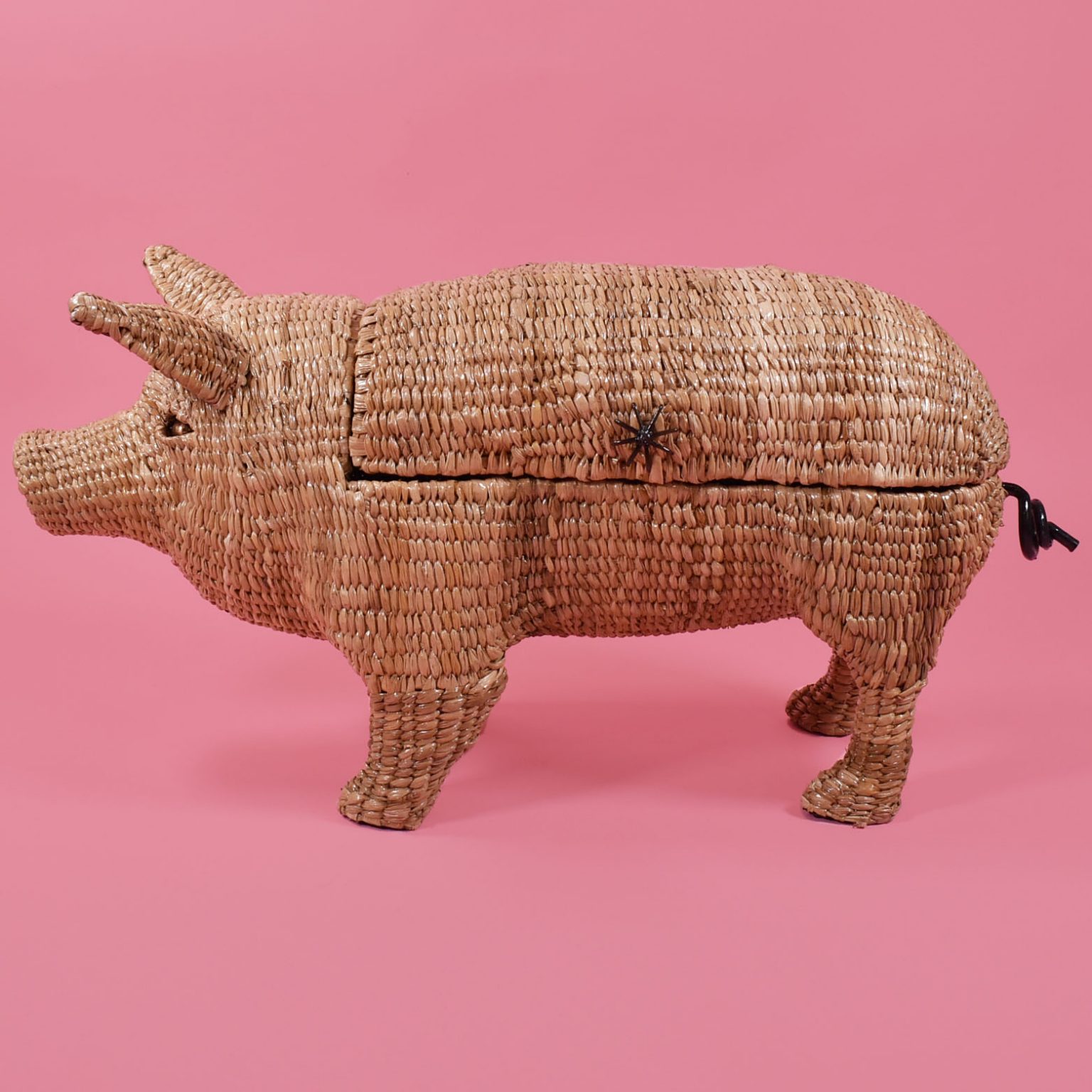 Medium Pig Trunk | Circa Who