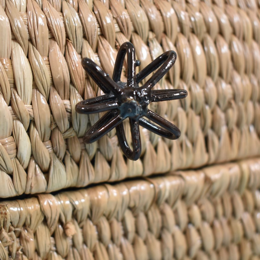 Medium Pig Trunk | Circa Who