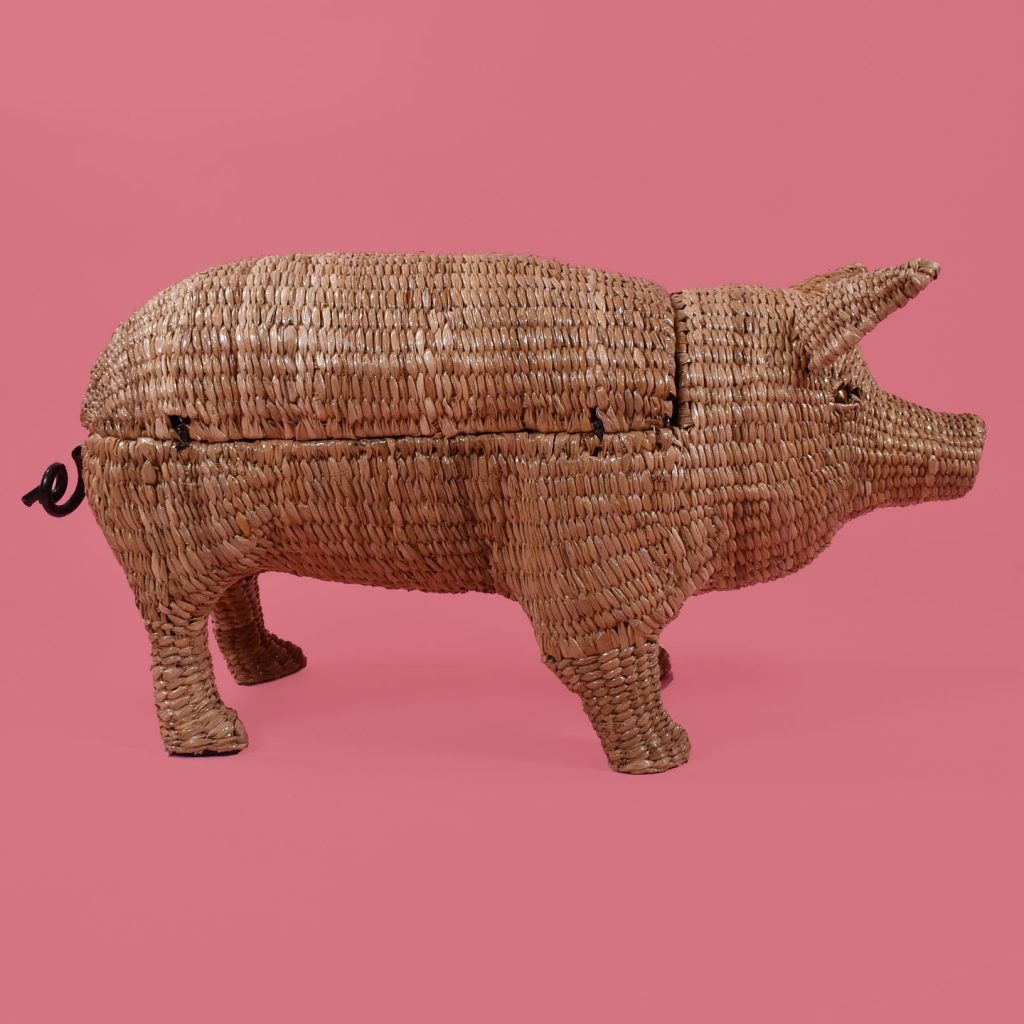 Medium Pig Trunk | Circa Who