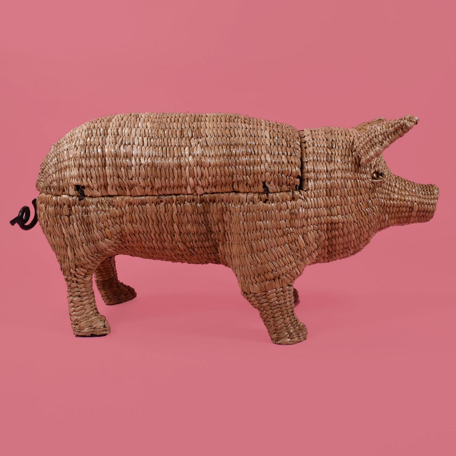 Medium Pig Trunk | Circa Who