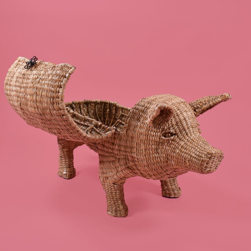 Medium Pig Trunk | Circa Who