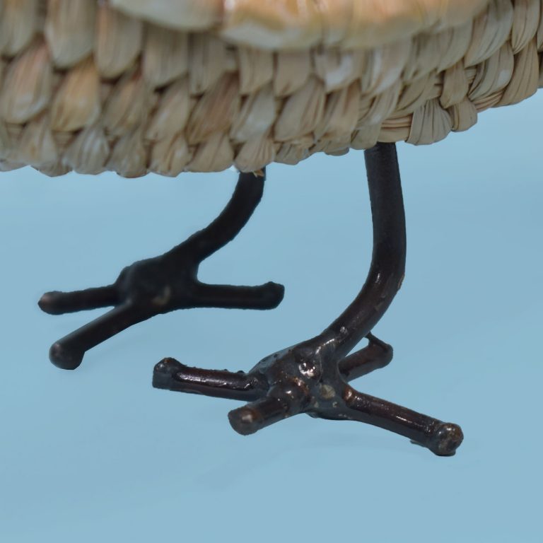 Straight Beak Toucan by Mario Lopez Torres | Circa Who