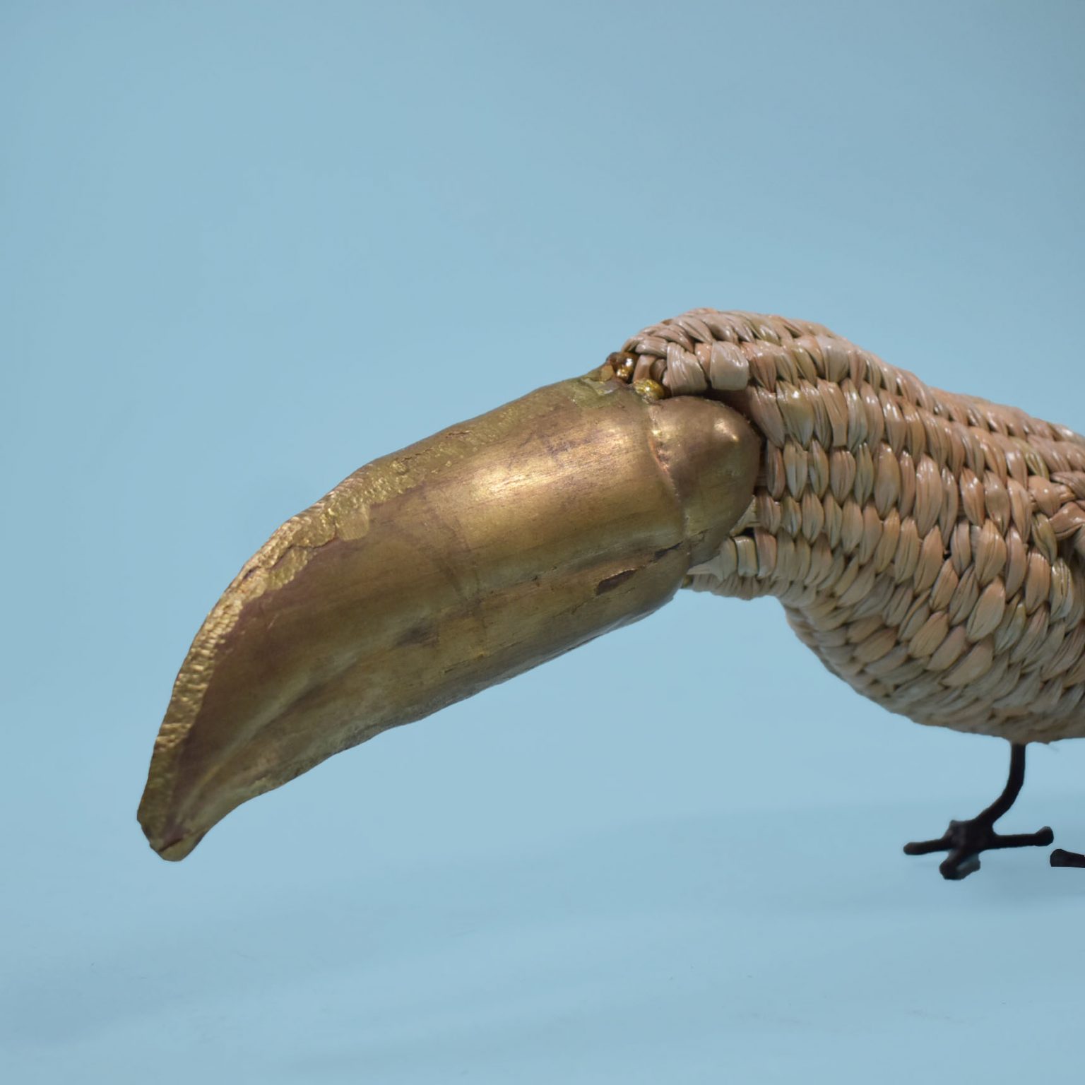 Straight Beak Toucan by Mario Lopez Torres | Circa Who