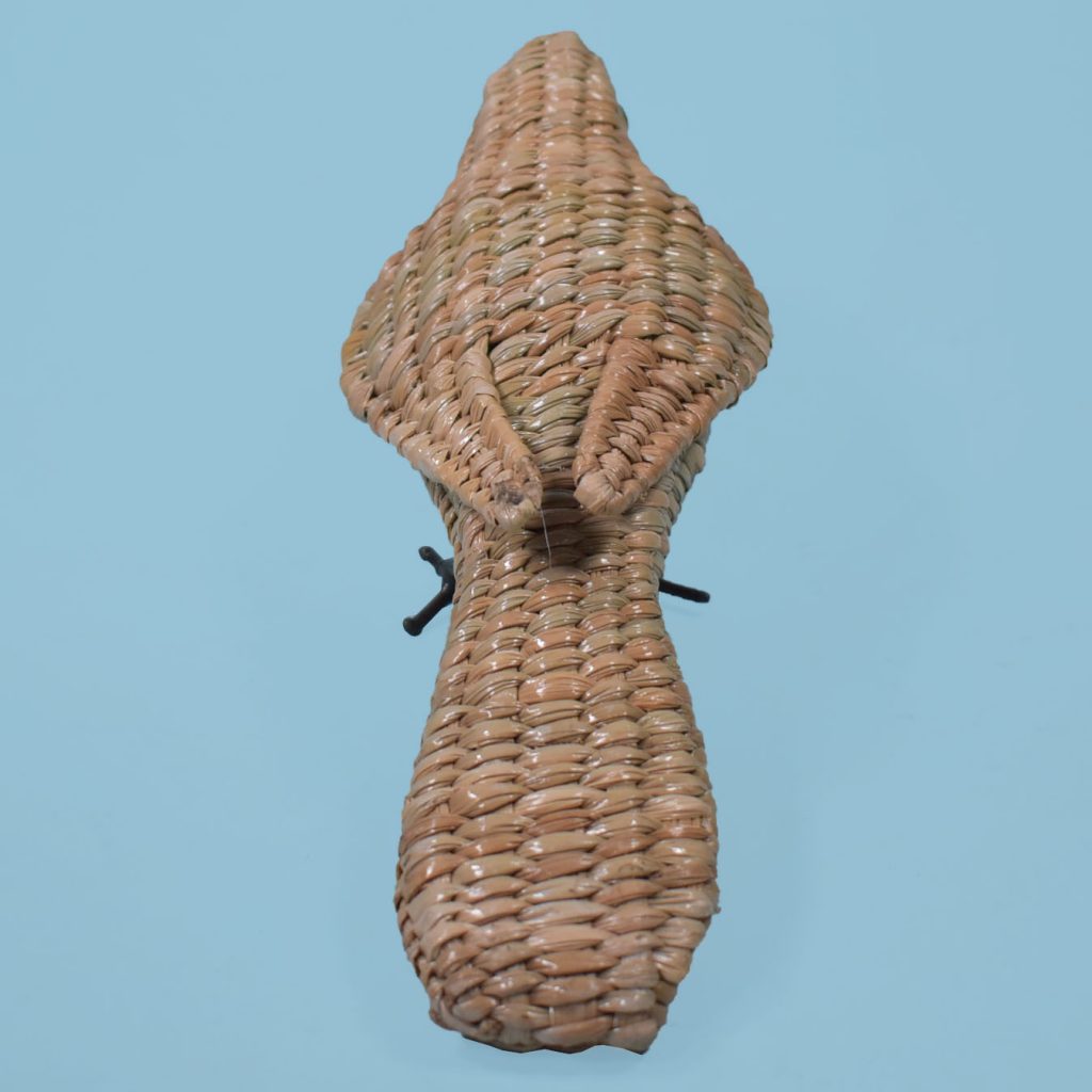 Straight Beak Toucan by Mario Lopez Torres | Circa Who