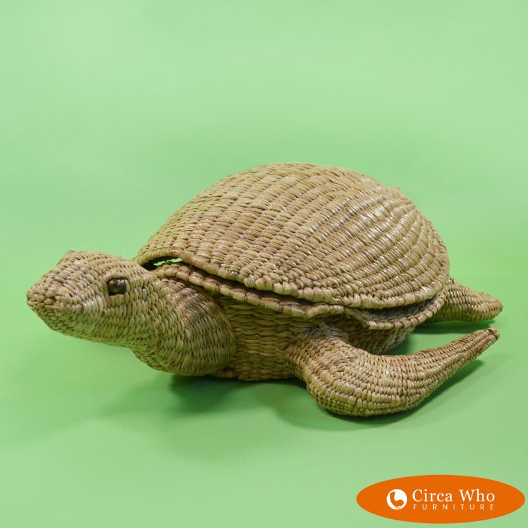 Turtle by Mario Lopez Torres | Circa Who